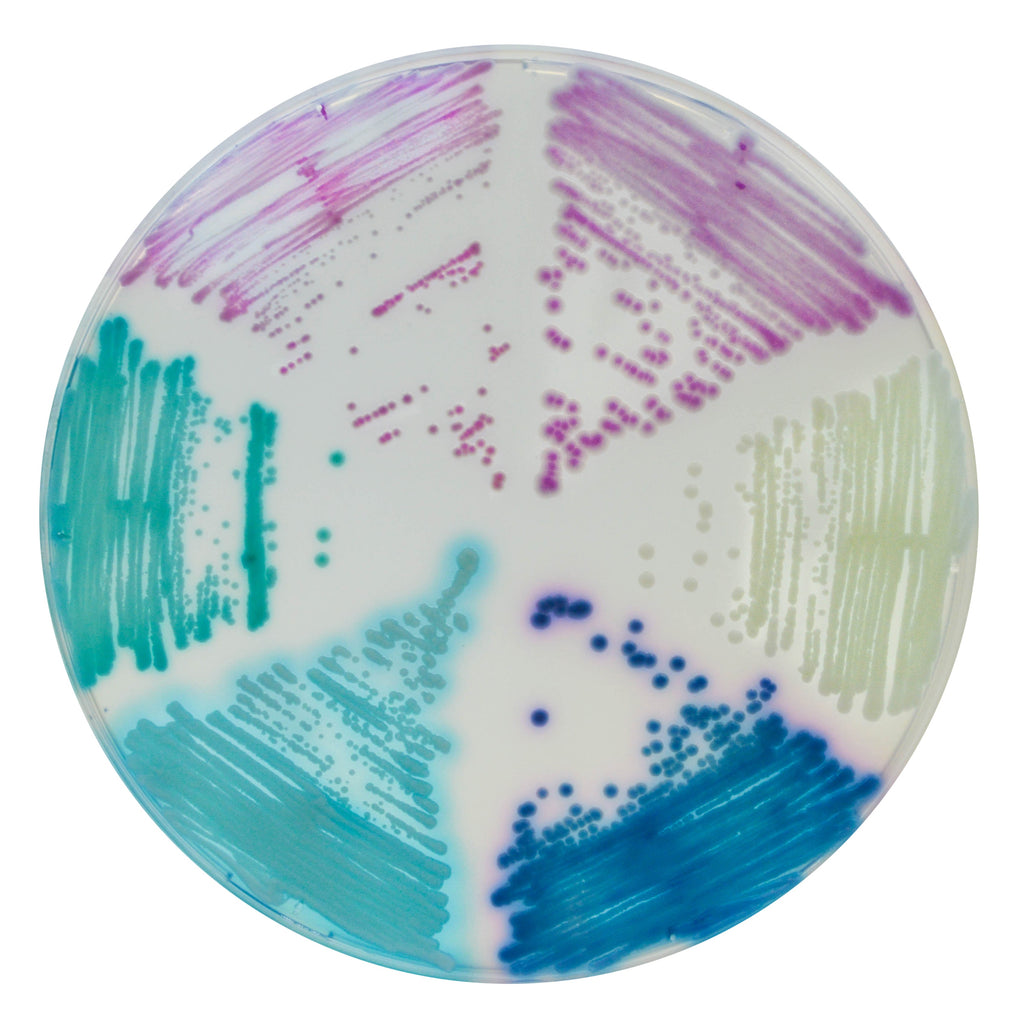 CHROMagar Candida Plus – Sano Distribution