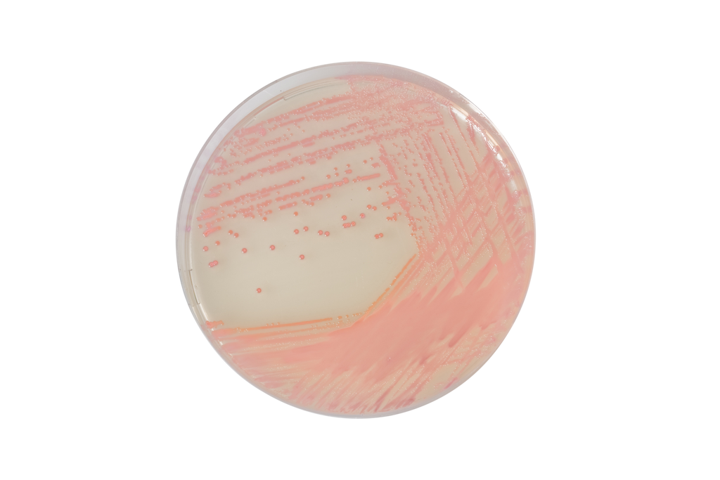 CHROMagar MRSA 5000ml – Sano Distribution